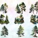 Forest Clipart, Watercolor Forest Landscapes, Forest Pine Tree Greenery ...