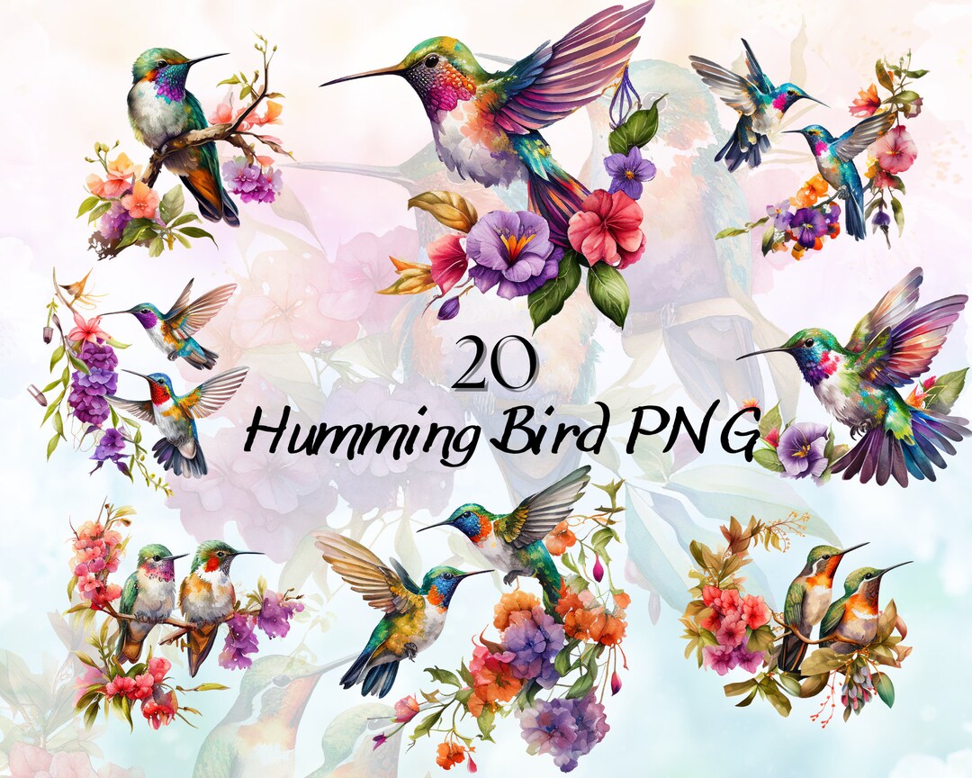 Watercolor Hummingbird Clipart, Hummingbird PNG, Painting Hummingbird ...