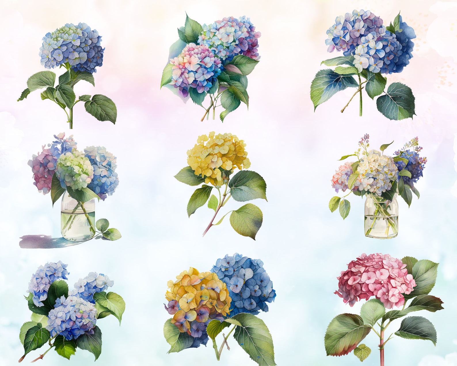 Watercolor Hydrangea Flowers Clipart Bundle Blue Hydrangea - Etsy