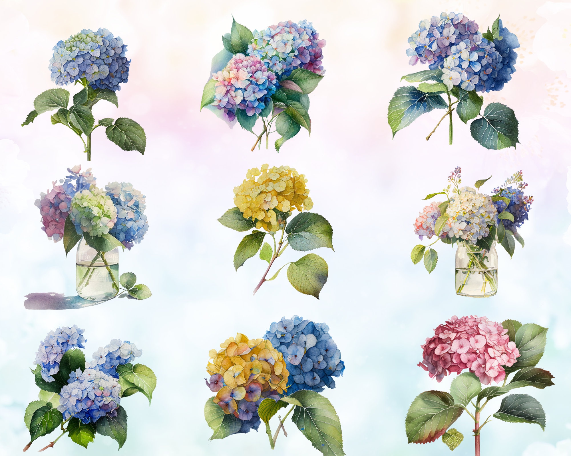 Watercolor Hydrangea Flowers Clipart Bundle, Blue Hydrangea Clipart ...