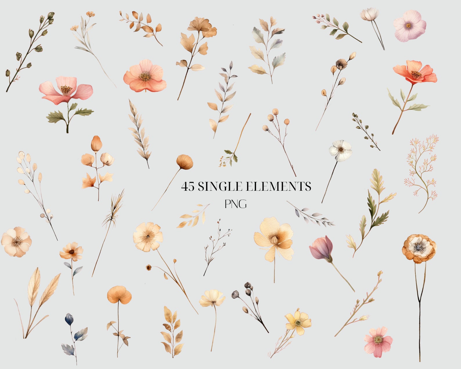 Watercolor Boho Wild Flowers Clipart Floral Borders Wild - Etsy