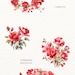 Watercolor Red Roses Clipart, Red Flower Clipart, Red Rose Florals, Red ...