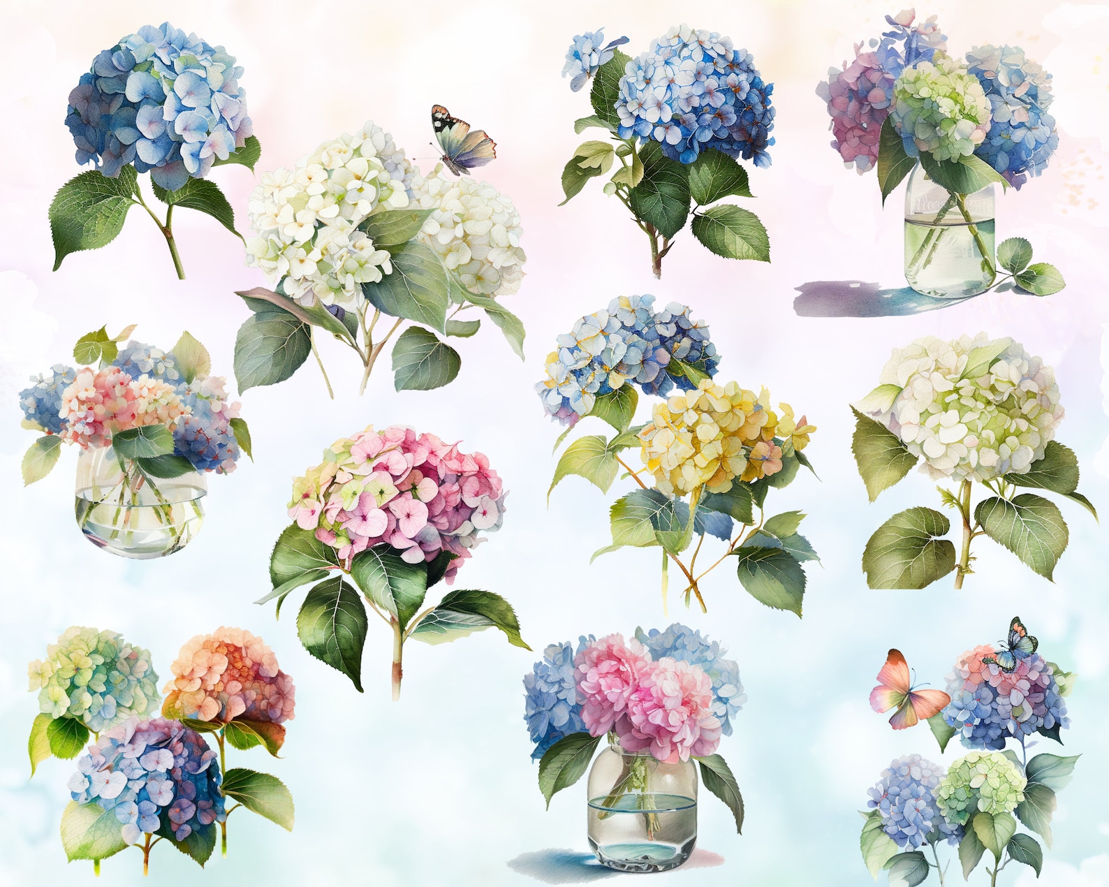 Watercolor Hydrangea Flowers Clipart Bundle Blue Hydrangea - Etsy