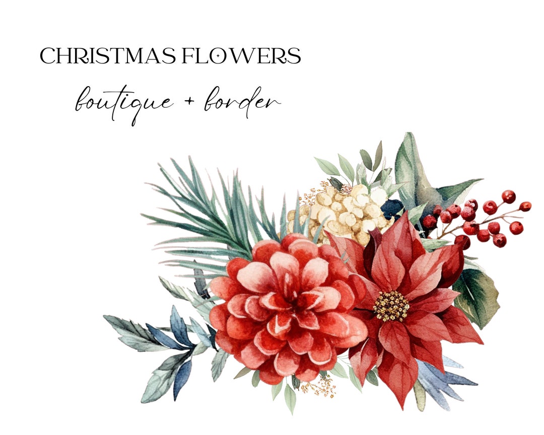 Watercolor Christmas Flowers Clipart, Wintertide Collection, Christmas ...