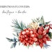 Watercolor Christmas Flowers Clipart, Wintertide Collection, Christmas ...