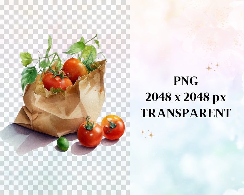 Watercolor Tomato Clipart Bundle Tomatoes PNG Tomato Food - Etsy