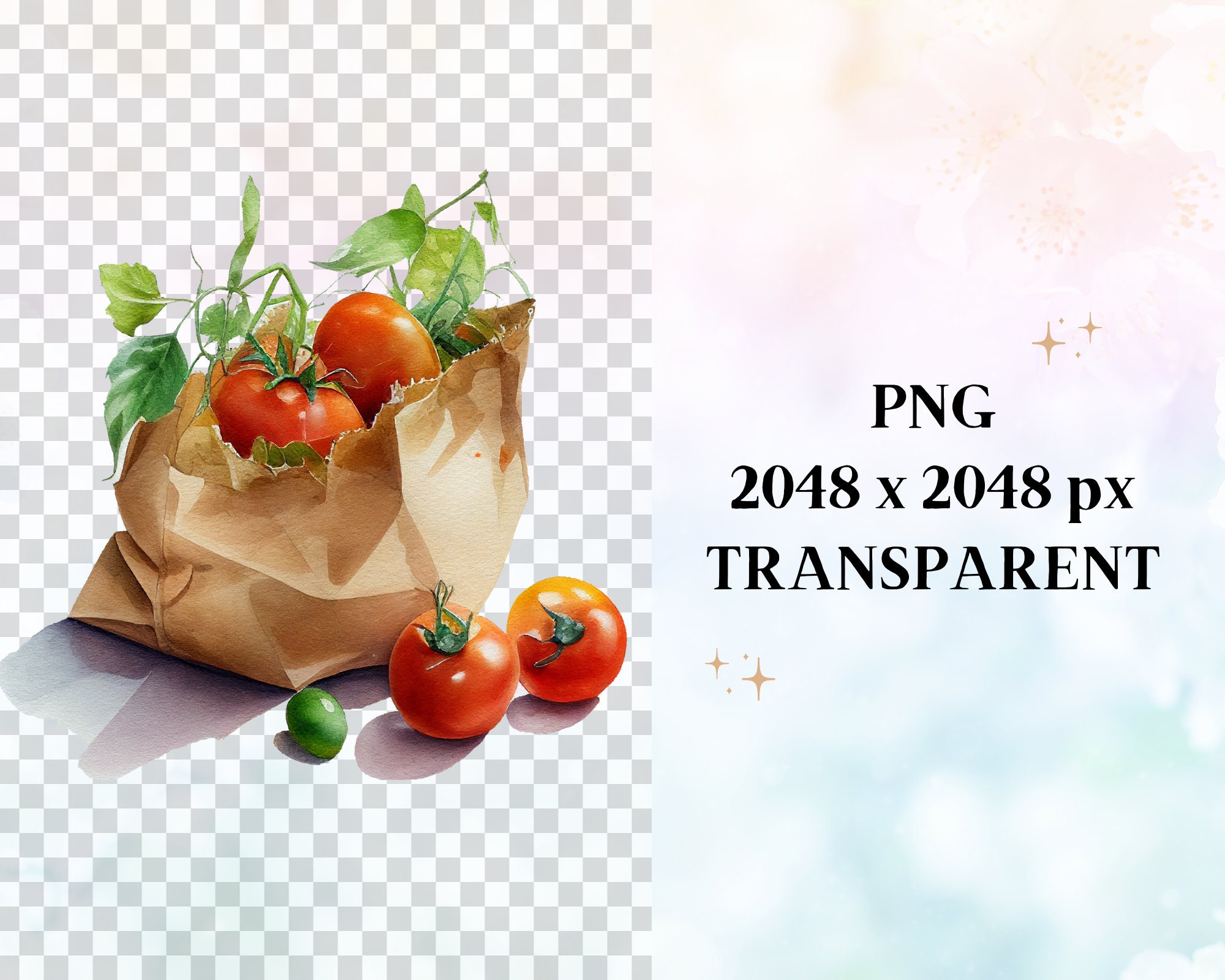 Watercolor Tomato Clipart Bundle Tomatoes PNG Tomato Food - Etsy