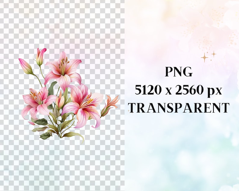 Watercolor Lily Flowers Clipart Pink Lily Flowers Flowers - Etsy