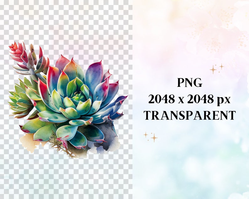 Watercolor Cactus Clipart Bundle, Potted Succulent PNG, Mexican Cactus ...