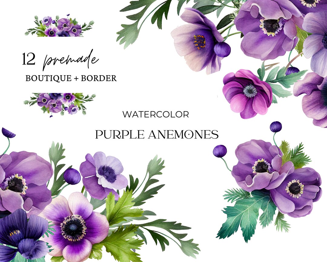 Watercolor Anemones Clipart, Purple Anemones Flowers, Flowers Bouquets ...