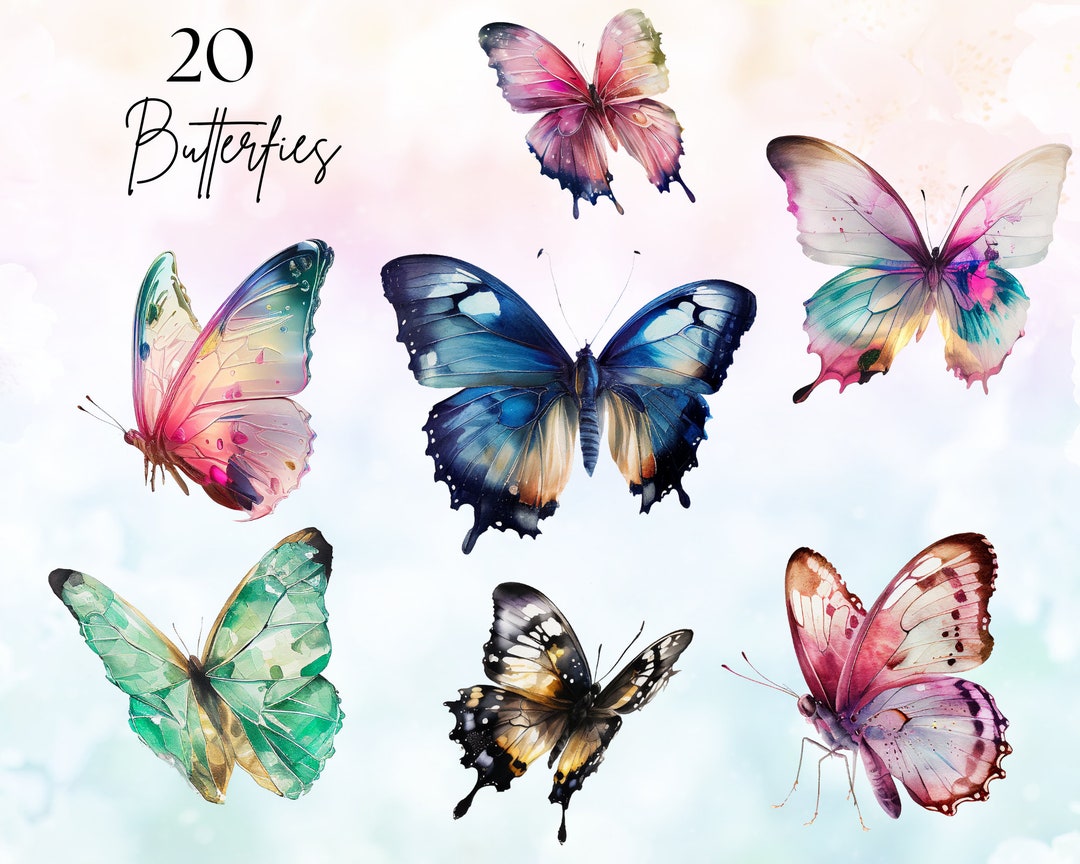 20 Watercolor Butterflies Clipart Bundle, Butterfly Illustrations ...