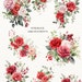 Watercolor Red and Blush Flowers Clipart Red Floral Clipart Red Flowers ...
