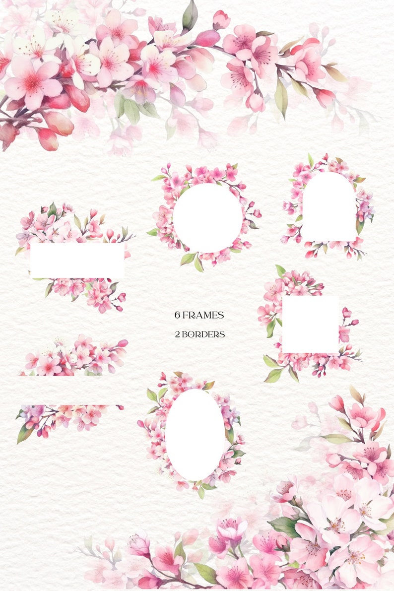 Watercolor Cherry Blossoms, Cherry Blossoms Clipart, Sakura Clipart ...