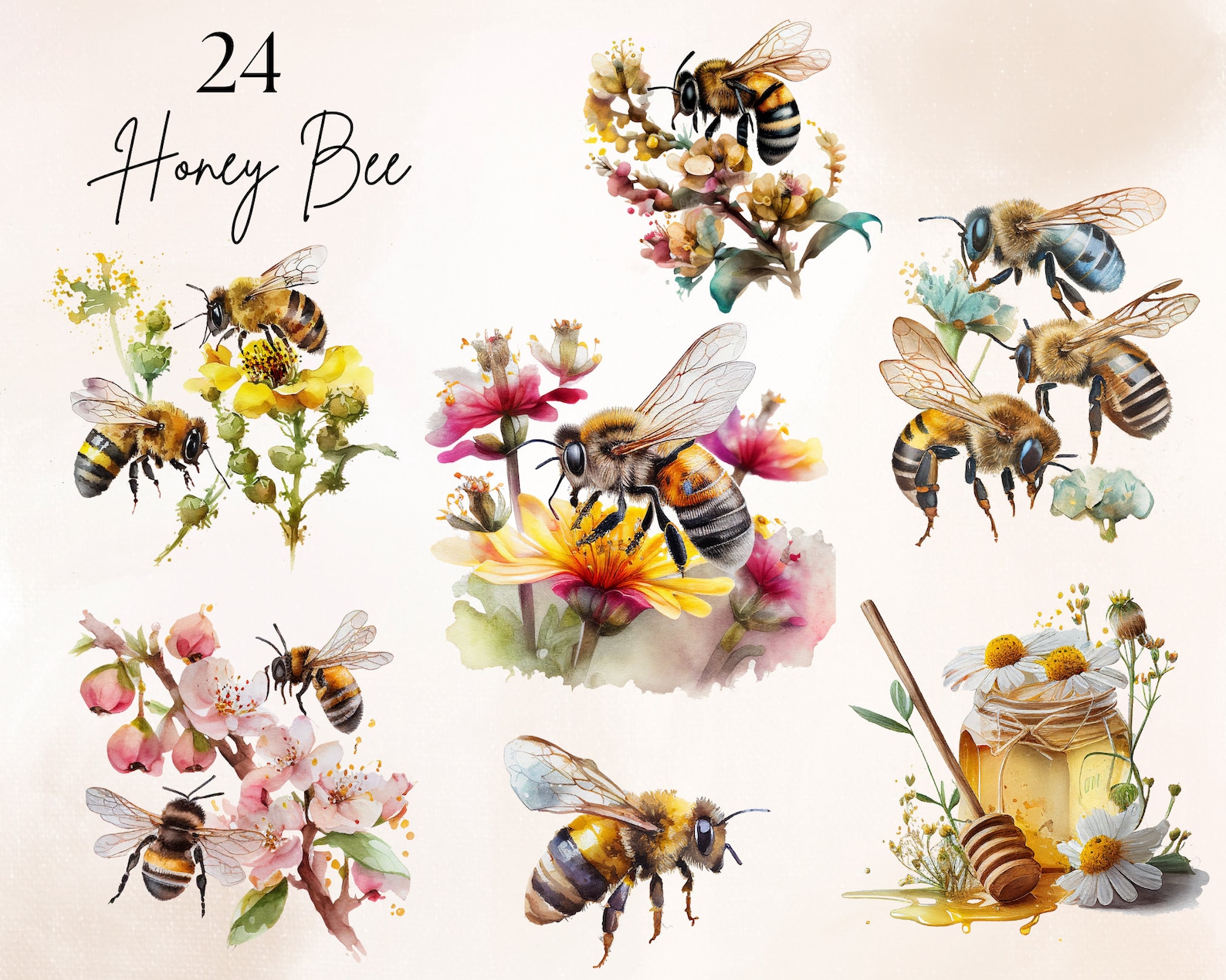 24 Watercolor Honeybee Clipart Bundle, Garden Bee and Honey Drips ...