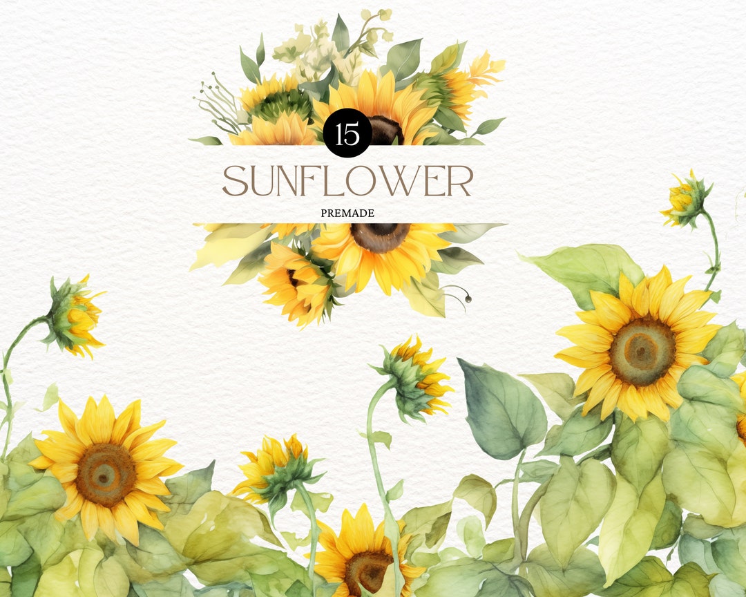 Watercolor Sunflower Floral PNG Clipart Watercolor Floral Clipart ...