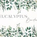 Eucalyptus Watercolor Border, Eucalyptus Corner Border Wedding ...