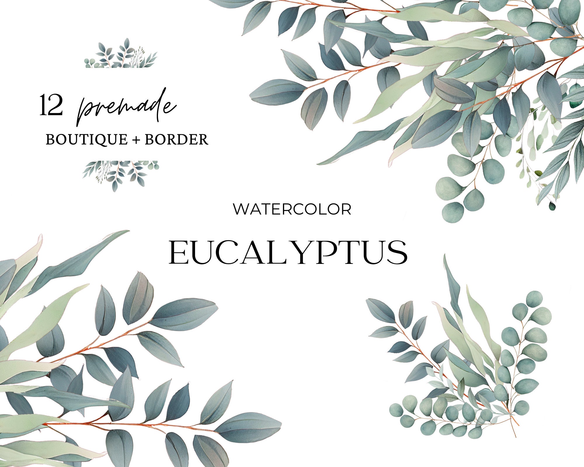 Watercolor Eucalyptus Clipart, Greenery Watercolor Clipart, Eucalyptus ...