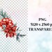 Watercolor Christmas Flowers Clipart, Wintertide Collection, Christmas ...