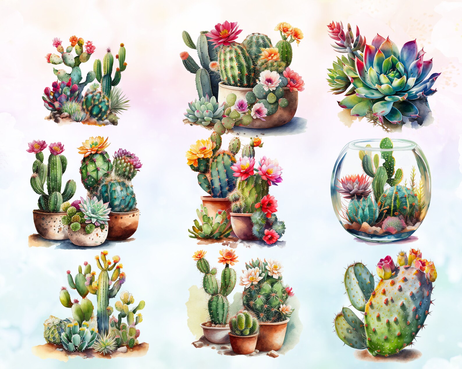 Watercolor Cactus Clipart Bundle Potted Succulent PNG - Etsy