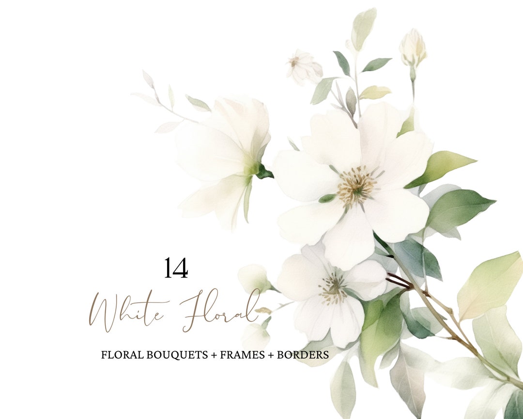 Watercolor Flower White Cream Flowers Floral Clipart, White Flowers PNG ...