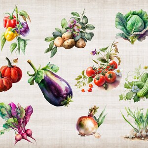 20 Watercolor Garden Vegetable Clipart Bundle, Vintage Inspired Veggie ...