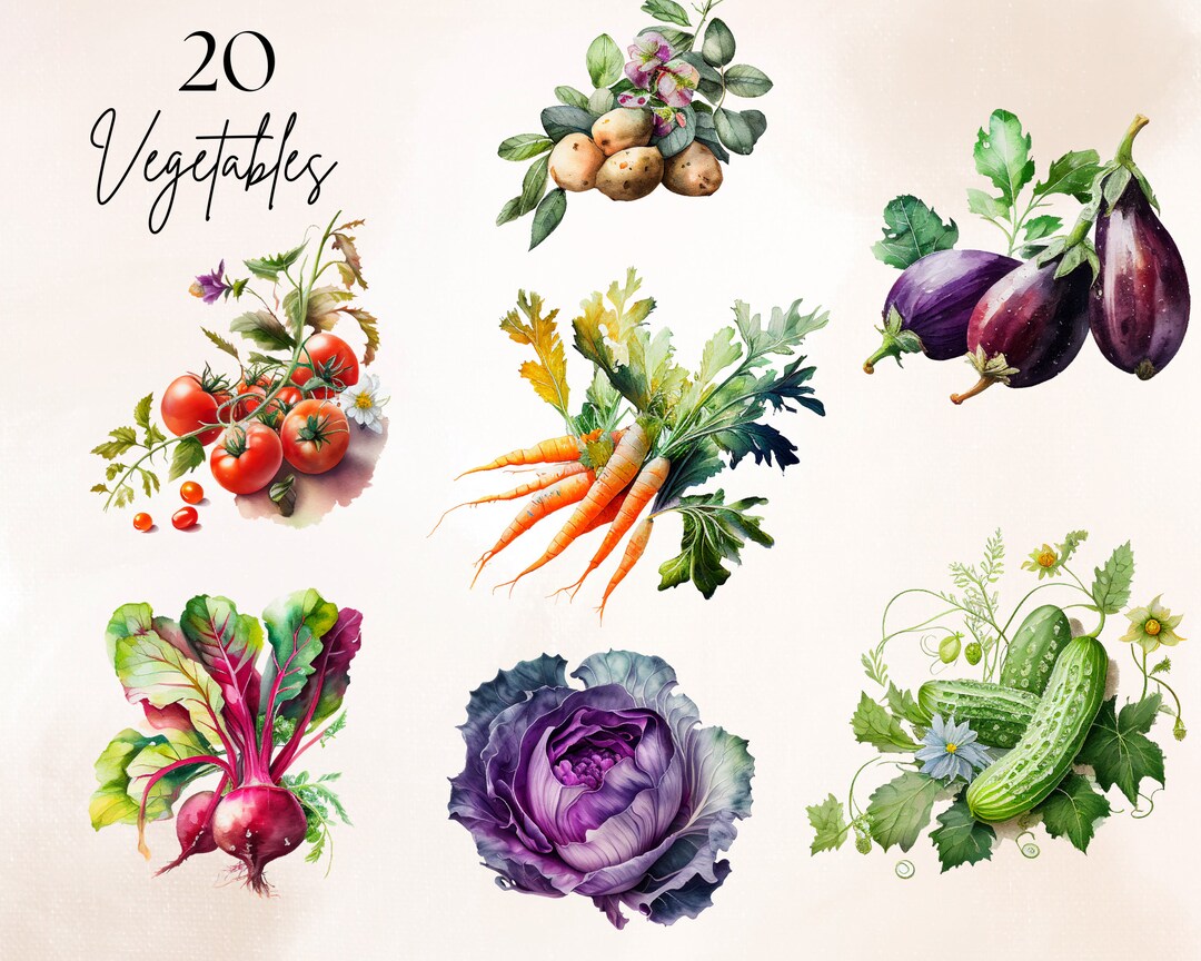 20 Watercolor Garden Vegetable Clipart Bundle, Vintage Inspired Veggie ...