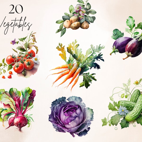 Vegetable Clipart - Etsy