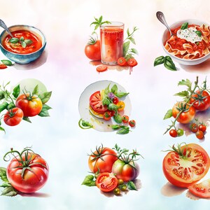 Watercolor Tomato Clipart Bundle, Tomatoes PNG, Tomato Food Clipart ...