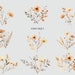Watercolor Boho Wild Flowers Clipart, Floral Borders, Wild Floral ...