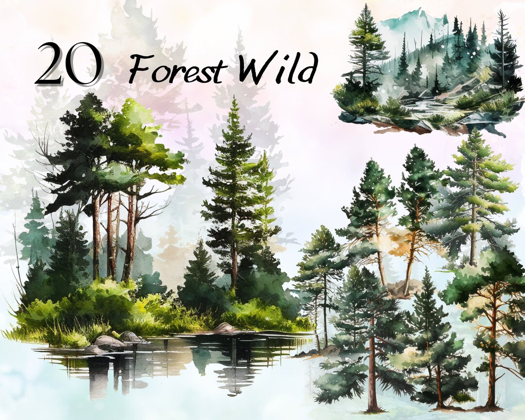 Forest Clipart, Watercolor Forest Landscapes, Forest Pine Tree Greenery ...