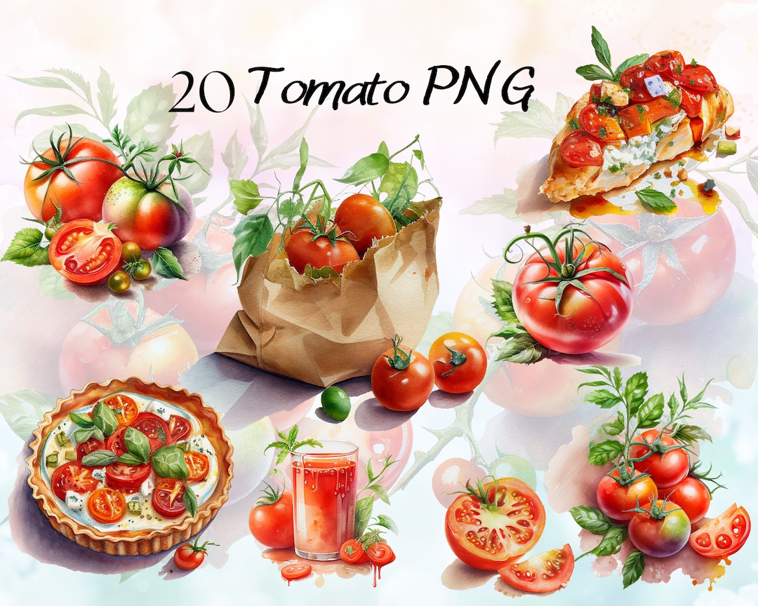 Watercolor Tomato Clipart Bundle, Tomatoes PNG, Tomato Food Clipart ...