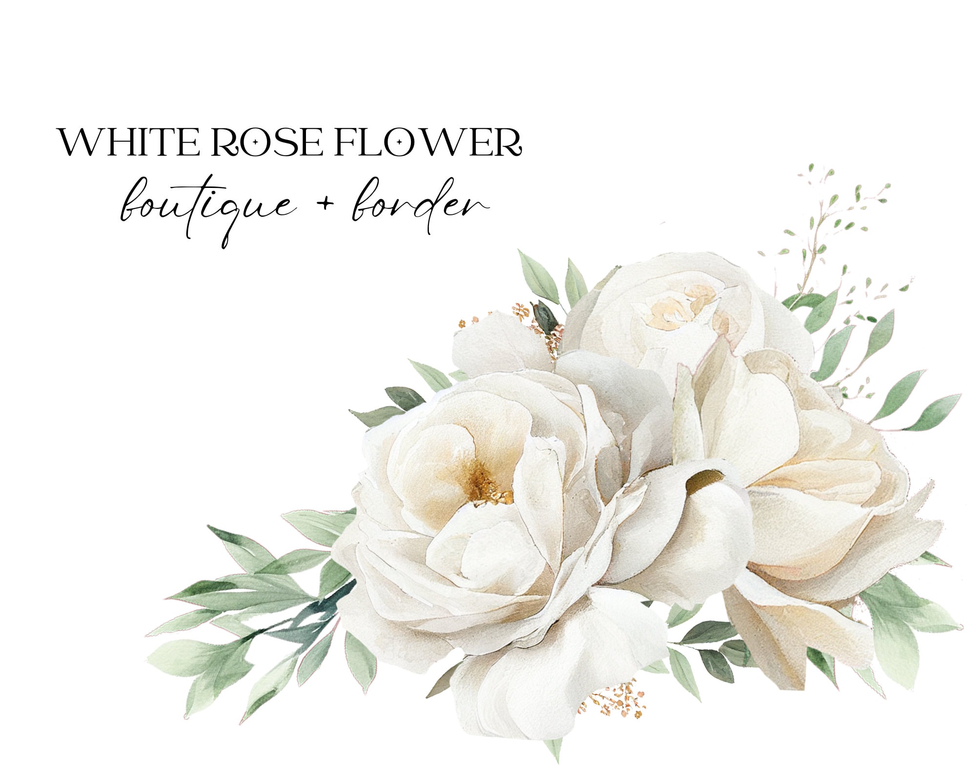 White Rose Flower Clipart