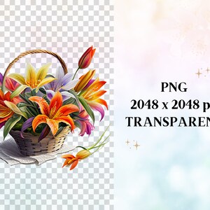 Watercolor Pink Tiger Lily Clipart Bundle, Orange Flower Lily PNG ...