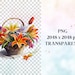 Watercolor Pink Tiger Lily Clipart Bundle, Orange Flower Lily PNG ...