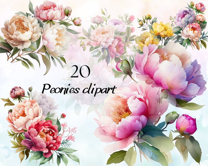 Watercolor Pink Peony Clipart White Peonies Watercolor - Etsy