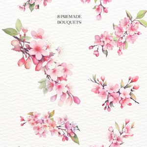 Watercolor Cherry Blossoms, Cherry Blossoms Clipart, Sakura Clipart ...