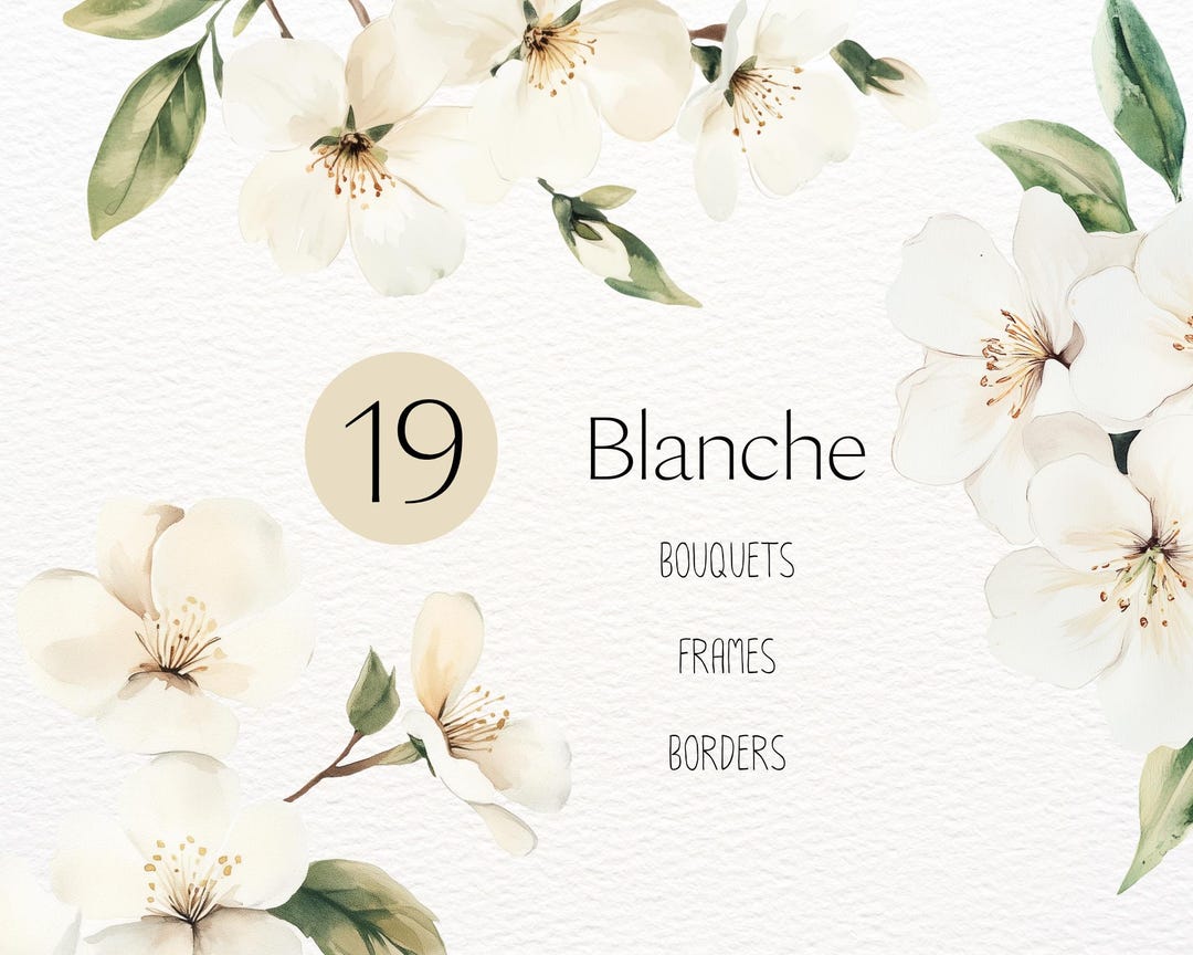 Watercolor White Roses Clipart White Roses PNG White Rose Flowers ...