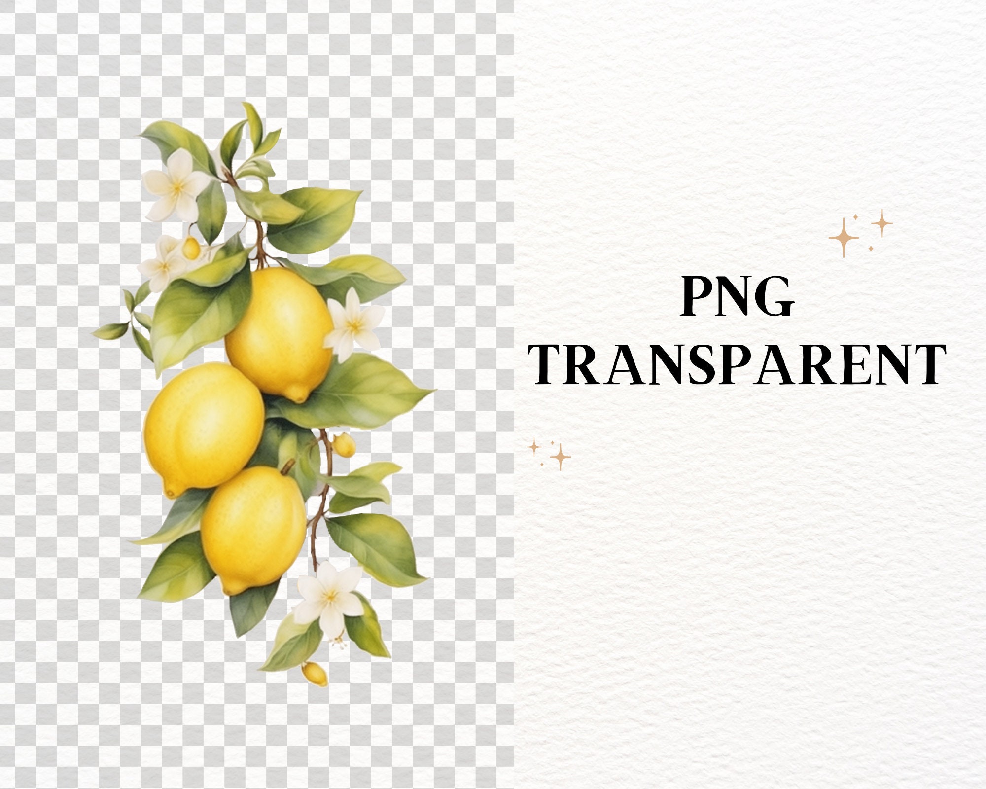 Watercolor Lemon Wedding Clipart Bundle Summer Clipart Lemon Wreath ...