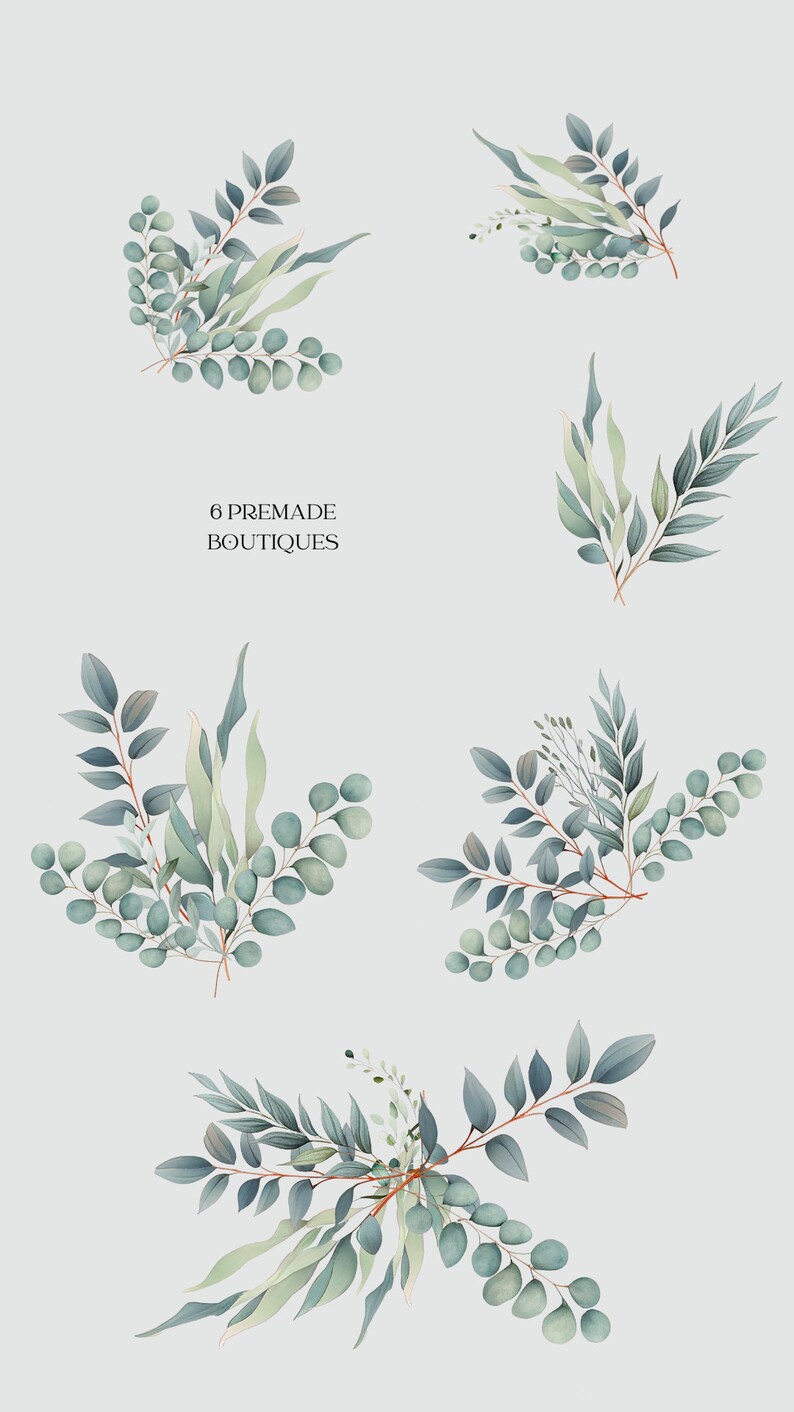 Watercolor Eucalyptus Clipart Greenery Watercolor Clipart - Etsy