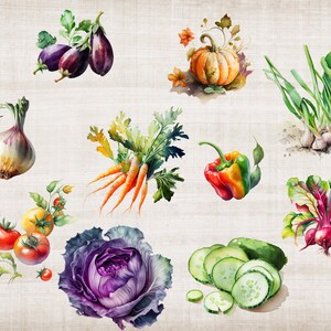 20 Watercolor Garden Vegetable Clipart Bundle, Vintage Inspired Veggie ...