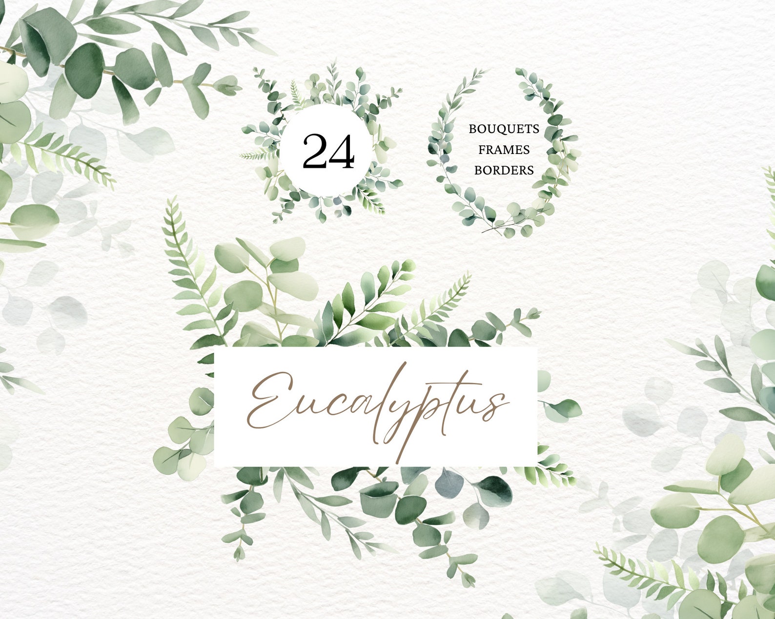 Watercolor Eucalyptus Leaves Clipart, Eucalyptus Shower Greenery ...