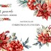 Watercolor Christmas Flowers Clipart, Wintertide Collection, Christmas ...