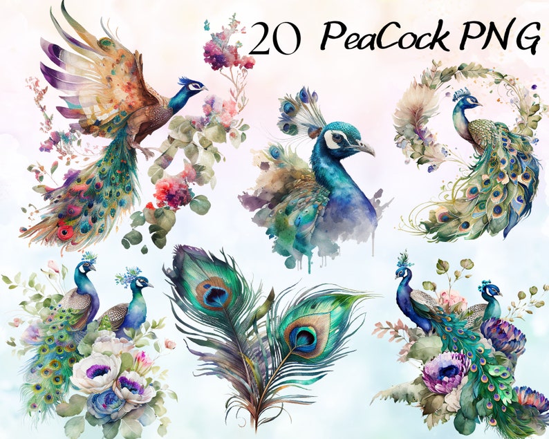 Watercolor Peacocks Clipart Bundle, Watercolor Peacock Bouquets, White ...
