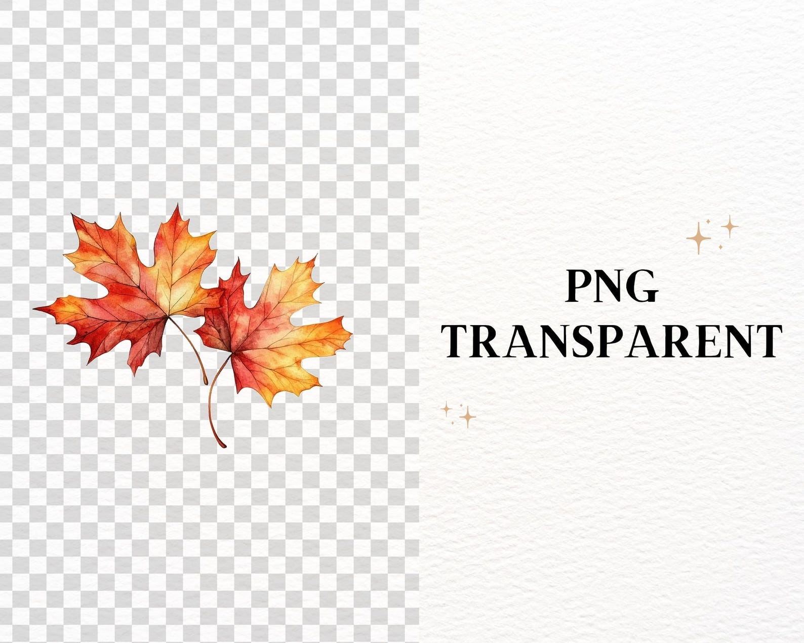 Watercolor Maple Leaf Clipart Fall Leaf Dry Leaves Autumn Leaves ...