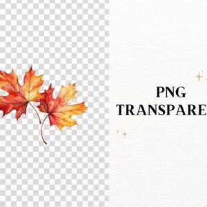 Watercolor Maple Leaf Clipart Fall Leaf Dry Leaves Autumn Leaves ...