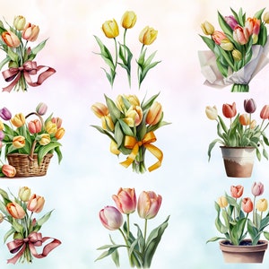 Watercolor Tulip Clipart Bundle, Spring Tulips Clipart PNG, Spring ...