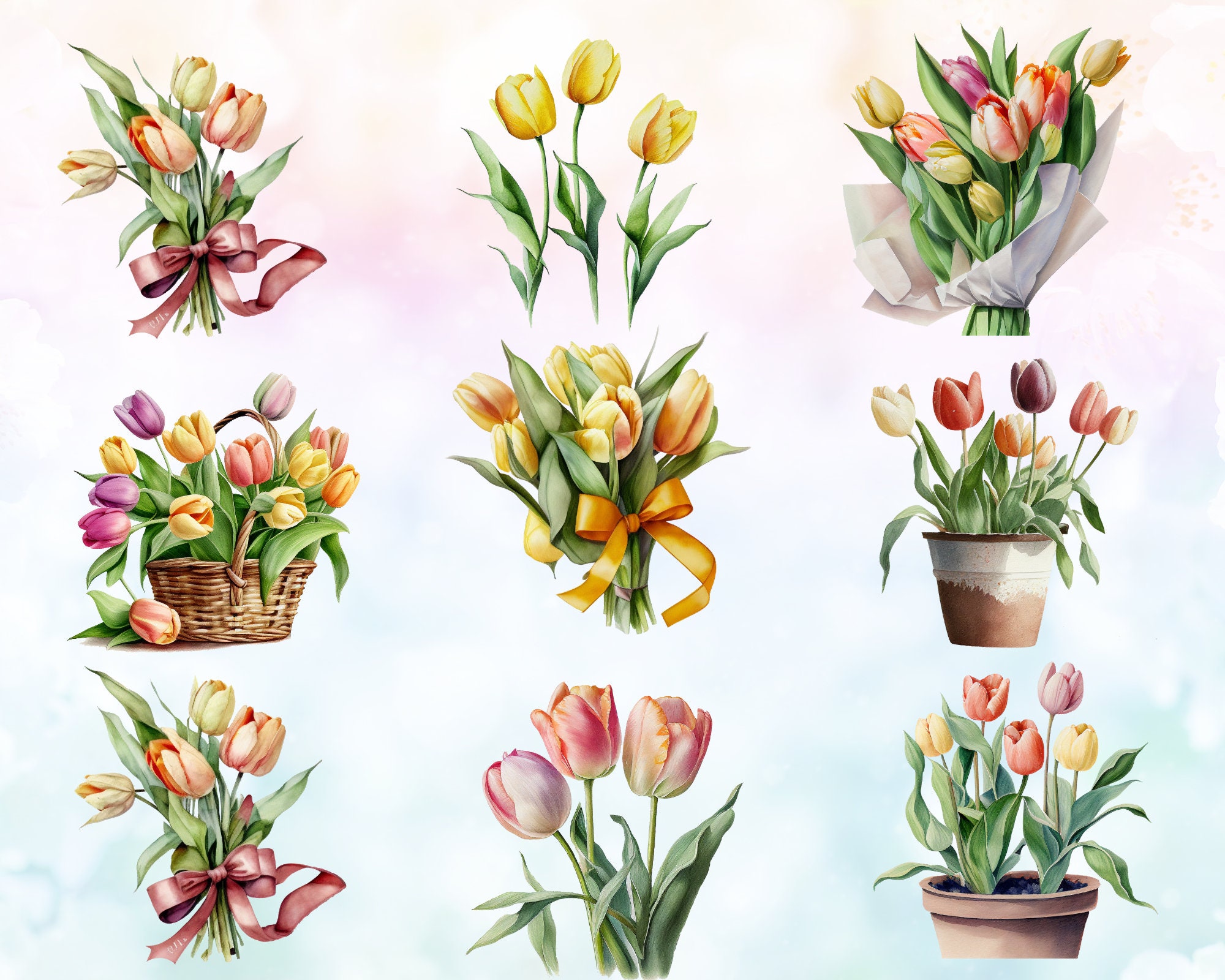 Watercolor Tulip Clipart Bundle, Spring Tulips Clipart PNG, Spring ...