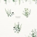 Watercolor Eucalyptus Leaves Clipart, Eucalyptus Shower Greenery ...