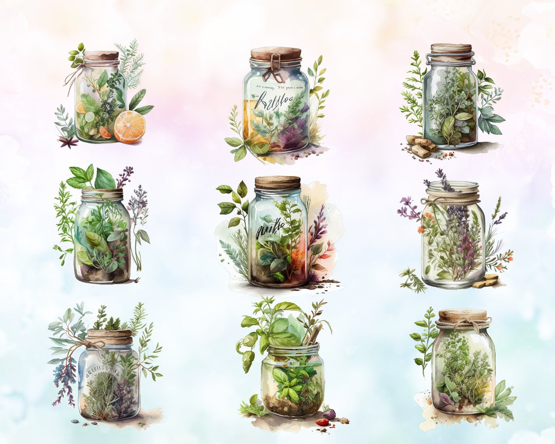 Watercolor Herb Jar Clipart Herb Jar PNG Watercolor Herbs - Etsy
