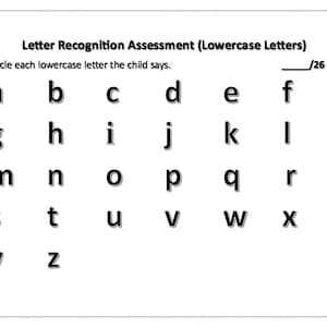 Alphabet Book With Letter Assessment - Etsy